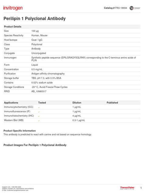 Antibody Perilipin 1 Pdf Immunohistochemistry Antibody