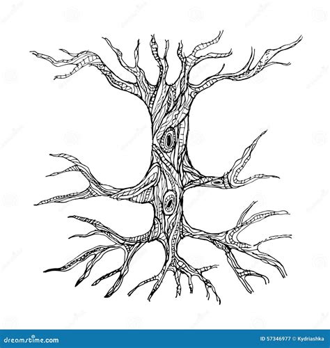 Ornate Bare Tree Trunk With Roots Cartoon Vector CartoonDealer Com 107479223