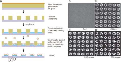 Nsf Funds Reinhard Group To Develop Optical Multiparametric Biosensors