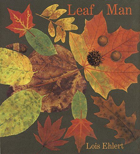 25 Leaf Science Experiments Activities And Sensory Ideas Natural