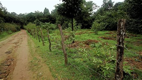 Agumbe India Scrolller