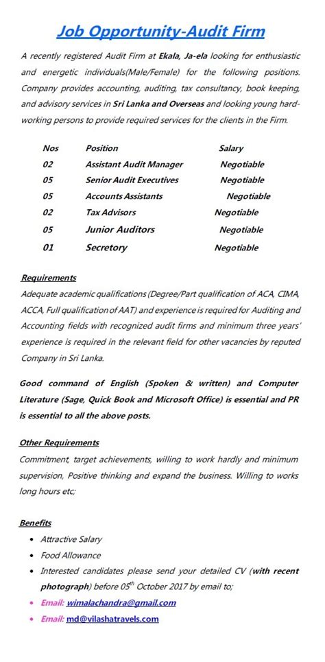 Assistant Audit Manager Senior Audit Executives Accounts Assistants