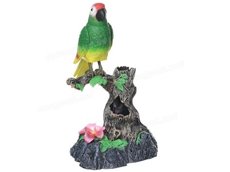 Recording Parrot Toy Focusgood