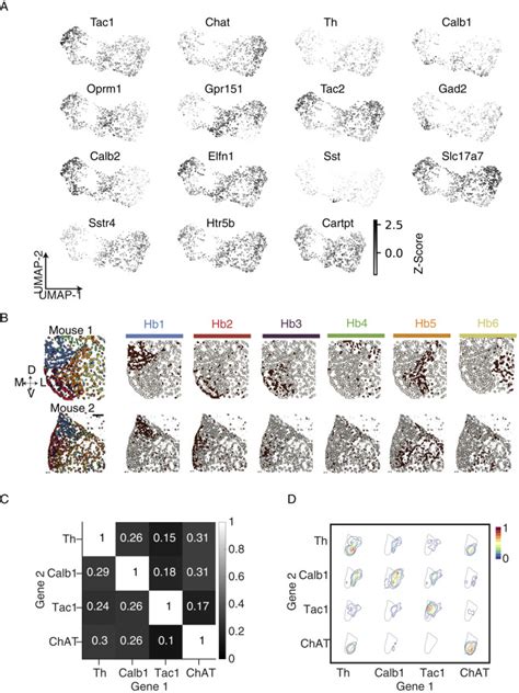 Cell Type Specific Population Dynamics Of Diverse Reward Computations Cell