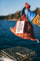 Fresh Maine Oysters Love Point Oysters 24 Ct E