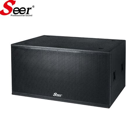 Dual 18 Inch Subwoofer Loudspeaker Amplifier Speaker Subwoofer Not