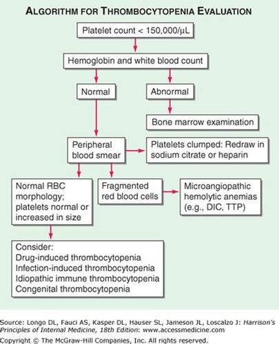 Pathophysiology Lecture 8 Bleeding Disorders Of Hemostasis