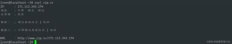 Linux操作系统配置代理服务器linux 设置代理 Csdn博客