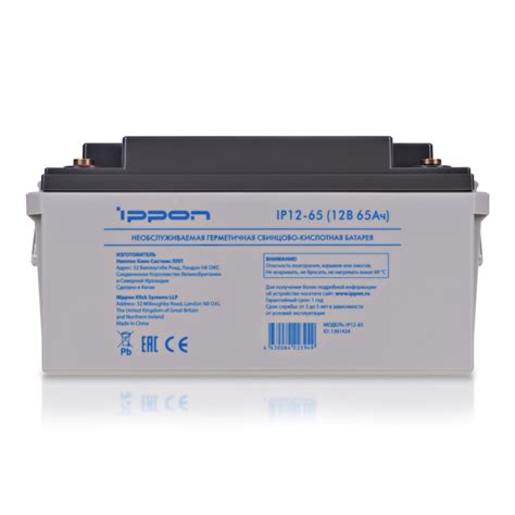 Батарея для ИБП IPPON IP12-65 (12V 65AH) — купить в интернет-магазине ...