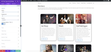 Revision Advanced Custom Types For Divi Assets