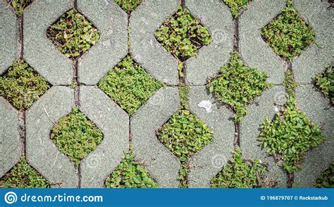 Green Grass Growing In Brick Blocks Floor Stock Image Image Of Block