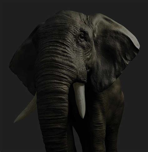 Group Sections Change After Up Or Down Levels ZBrushCentral