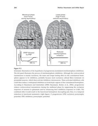 Sex Hormonal Effects On H