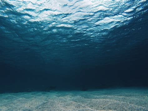Фон океана под водой 73 фото