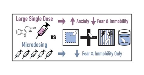 How To Make Dmt Drug