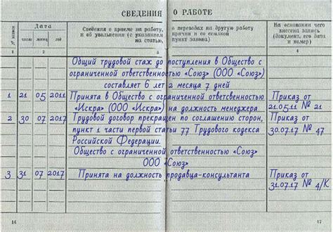 Оформление трудовой книжки впервые в 2021 году: ответы на все вопросы