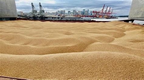 Турк Украины үр тарианы экспорт ирэх сарын 1 нээс эхлэх боломжтой