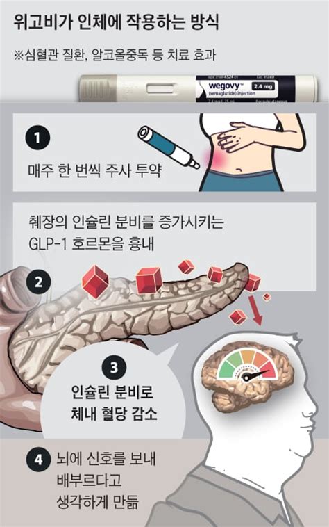 비만 치료제 위고비 유행과 부작용
