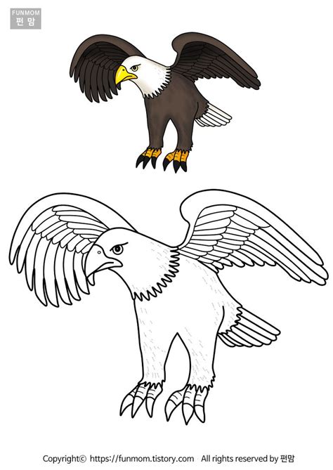 독수리 색칠공부 도안 프린트하기 Easy Coloring Pages Coloring Sheets Coloring