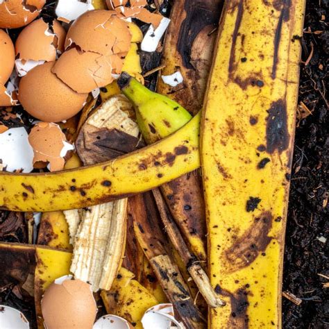 Decomposing Food Waste Heap In A Neglected Landfill Set Against A