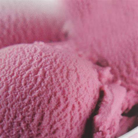 Limited Edition Frozen Pudding Brighams Ice Cream