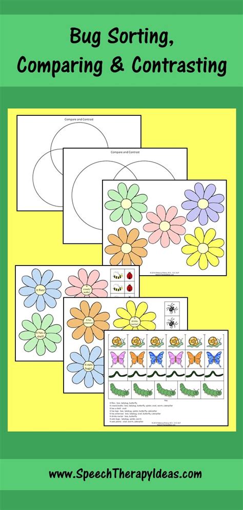 Bug Sorting Comparing And Contrasting