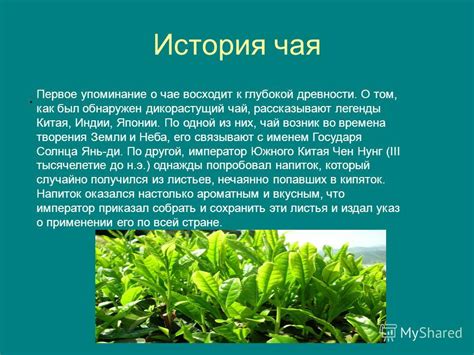 Презентация на тему Химический состав чая Презентация подготовлена