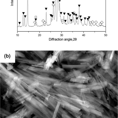 A The Xrd Patterns And B Sem Of Precursor Of Bn3 Composites Download Scientific Diagram