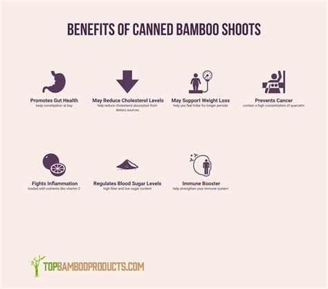 How To Use Canned Bamboo Shoots TopBambooProducts