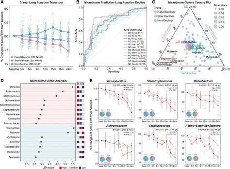Airway Dysbiosis Accelerates Lung Function Decline In Chronic Obstructive Pulmonary Disease