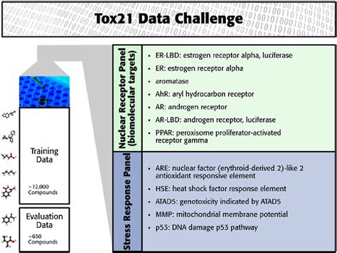 Figure 22 From Multi Target Deep Neural Networks For Toxicity