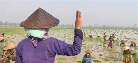 Khit Thit Media On Twitter ခင်ဦးမြို့နယ်တွင် စစ်အာဏာရှင် တော်လှန်ရေး