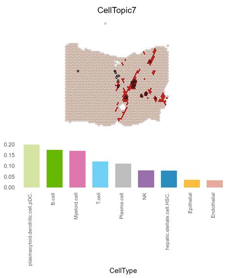 Celltopic Analysis • Spatopic