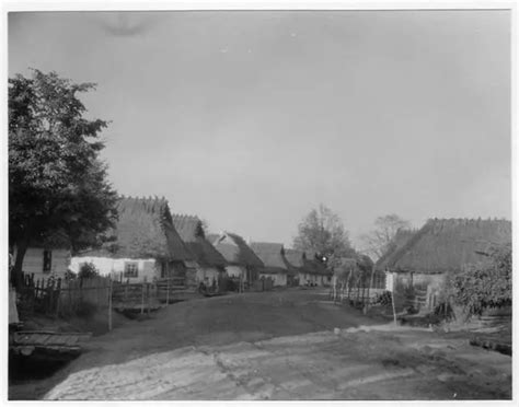 Білі хати і тин на подвірї якими 100 років тому були вулиці у Камені Каширському фото Новини