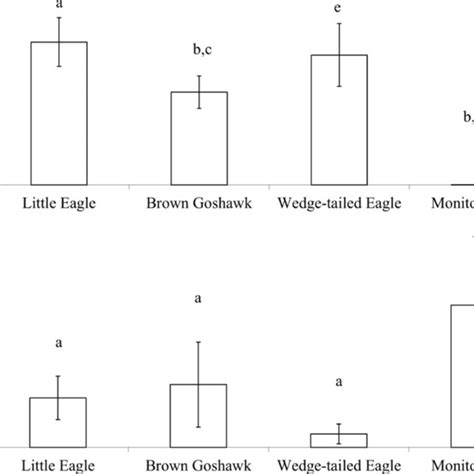 Agonistic Behaviour Agonistic Behaviour Elicited By The Model