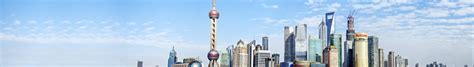 技术交流 予卫齿科树脂牙牙齿全口义齿上海予卫齿科材料有限公司