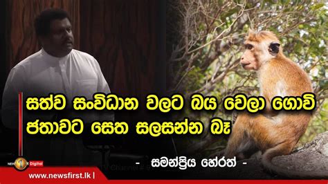 සත්ව සංවිධාන වලට බය වෙලා ගොවි ජතාවට සෙත සලසන්න බෑ සමන්ප්‍රිය හේරත් Youtube