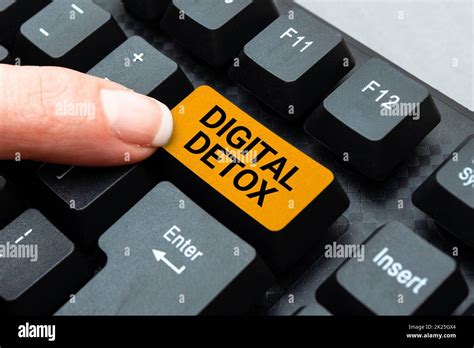 Sign Displaying Digital Detox Concept Meaning Free Of Electronic