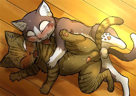 Rule 34 Anal Balls Big Eyes Blush Embrace Feline Feline Feral Gay Hindpaw Male Maririn Open