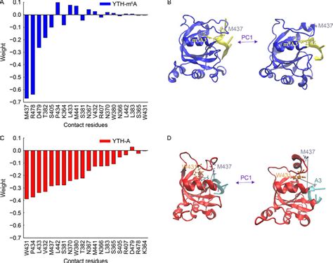 Dynamically Important Contacts Identified By Conpca A Eigenvector
