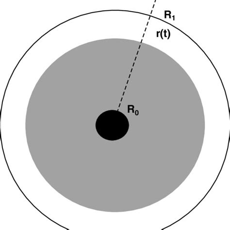 Schematic Top View Of The Radially Spreading Bacterial Swarm On The