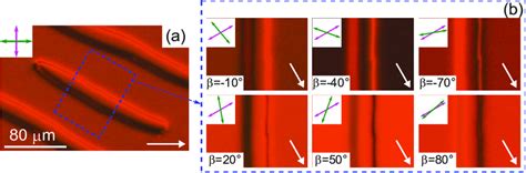 Pom Photos Of Cholesteric Layer With Confinement Ratio D P 0 44 Are