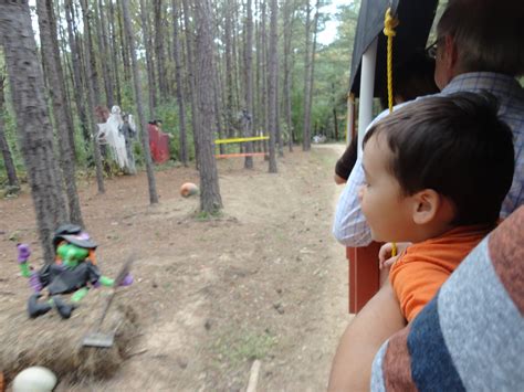 Amy Robert And Bryson