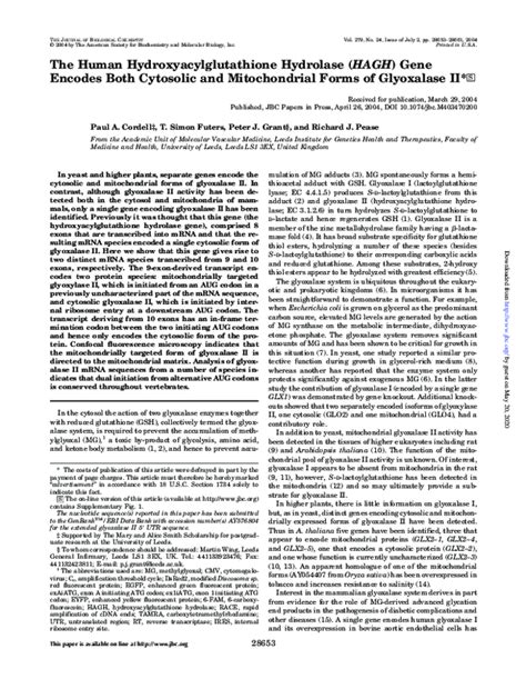 Pdf The Human Hydroxyacylglutathione Hydrolase Hagh Gene Encodes