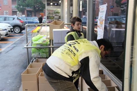 Colletta Alimentare Raccolte Ton Di Cibo Nel VCO Sempione News