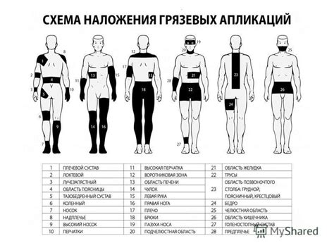 Презентация на тему: "Грязелечение. Состав грязей Лечебные грязи ...