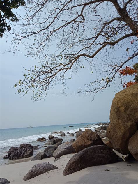 Hidden Beutyful Beach Stock Image Image Of Tree Hidden 266810531