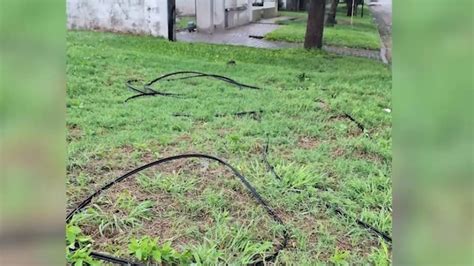 Dos Delincuentes Detenidos Por El Robo De Cables A Una Empresa De