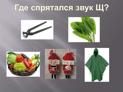 Автоматизация звука Щ презентация онлайн