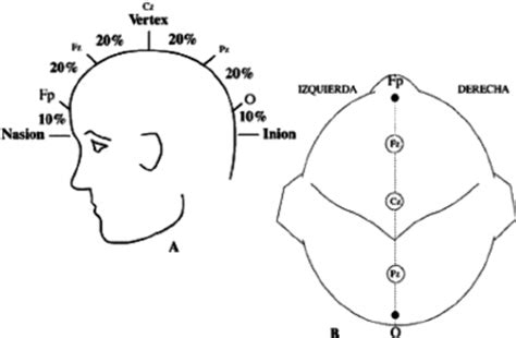 Example Of An Item From Test 2 ‘‘difficult Cognitive Download